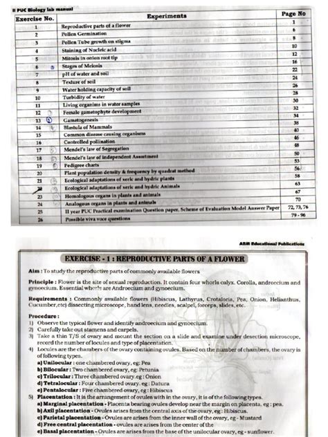 Puc 2 Board Lab Mannual Pdf