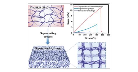 Supercooling Driven Homogenization And Strengthening Of Hydrogel