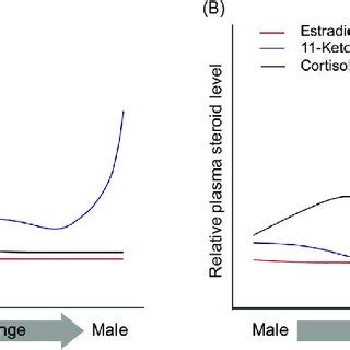 PDF Sex Change In Fish