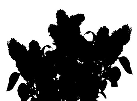 SVG Tree Branch Twig Spring Free SVG Image Icon SVG Silh