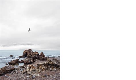 L U O G H I C O M U N I Behance