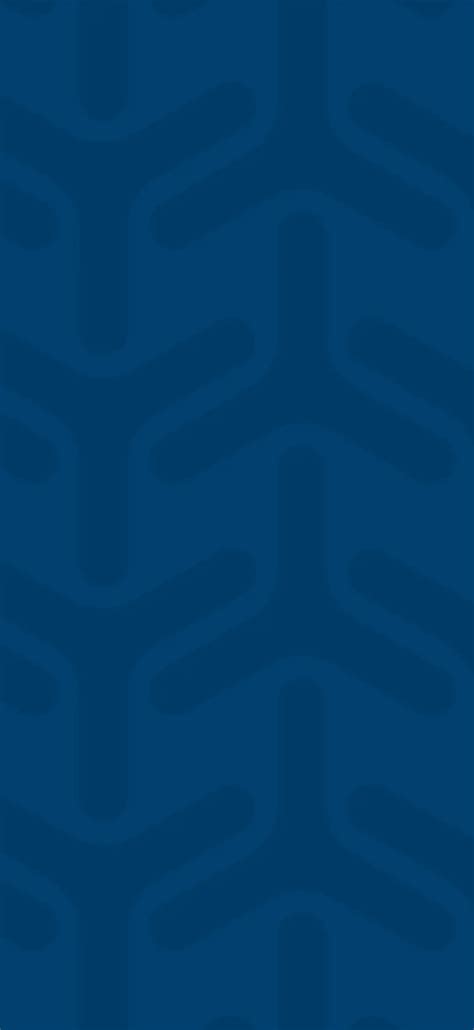 From Code To Success Sharjahs Growing Digitization Ecosystem Srti Park