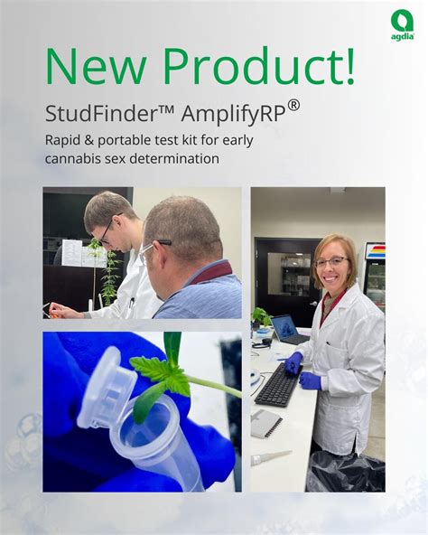 Agdia Releases StudFinder A Molecular Test For Sex Determination In Cannabis Company
