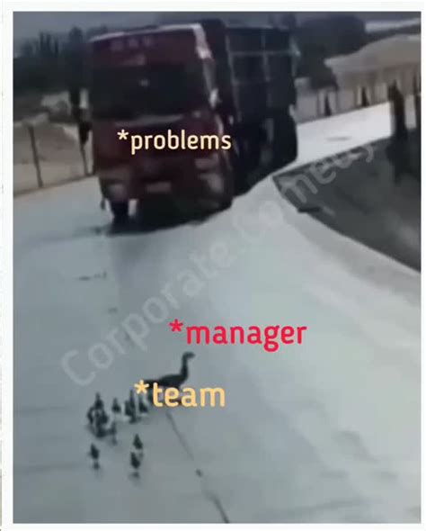 [video] nihat safarli on linkedin when team in need of manager s