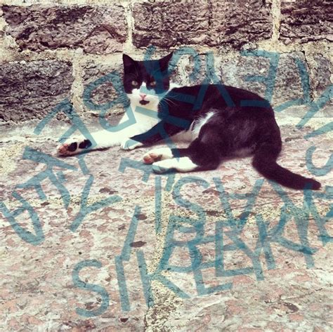 Test Ignore By Artbit On Deviantart