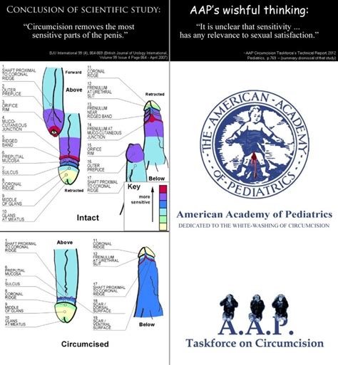 Pin On Truth About Circumcision
