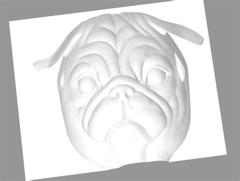 Pug Head In A Block Illusion 3d Model By Mrdc04 On Thangs