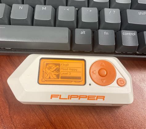 Who Else Have Their Flipper Zero At Level 3 Already Rflipperzero