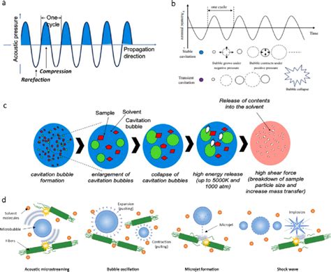 How Are Ultrasonic Waves Used In Medicine At Rosemary Berrios Blog