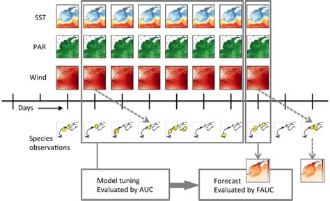 Diagram Of The Forecasting Configuration Depicting One Ensemble