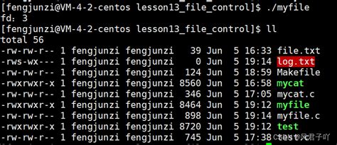 Linux 文件操作和系统接口linux的接口 Csdn博客