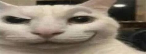 Guys That Awesome Dude With The Triple Marker Pfp Turned Me Into A Cat
