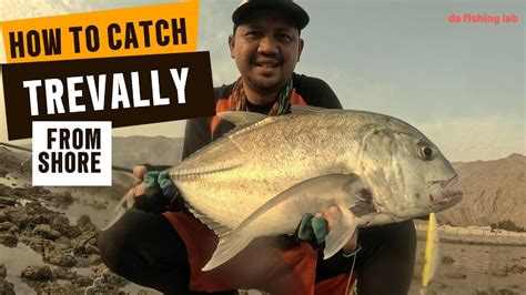 HOW CATCH TREVALLY FROM SHORE | JULY 07, 2024 | SHORE CASTING | FISHING OMAN - YouTube