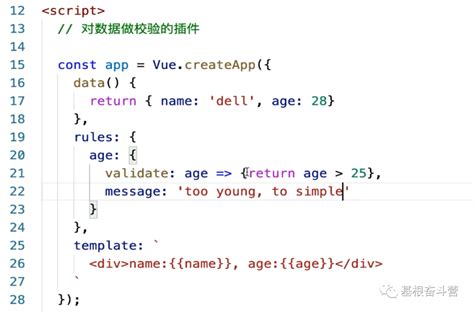【vue】数据校验插件开发实例 极客之音