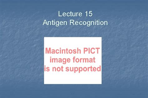Lecture Antigen Recognition Overview N N In