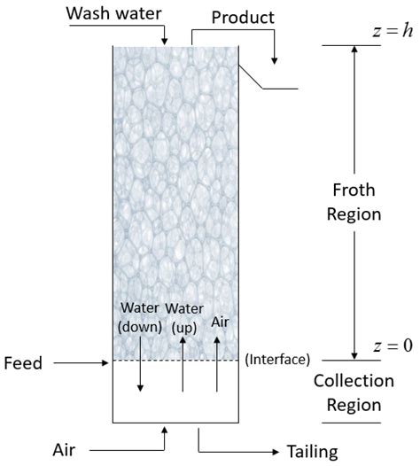 Flotation Process