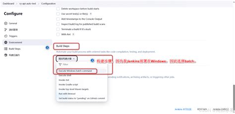 Jenkins 配置python项目和allurejenkins部署python项目 Csdn博客