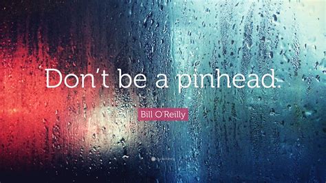 Bill Oreilly Quote “dont Be A Pinhead”