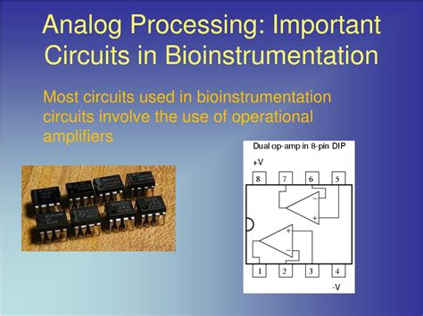 Ppt Eggn 3610 Bioinstrumentation Powerpoint Presentation Free