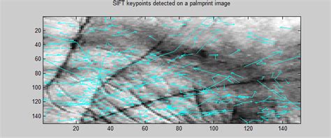 Sift Keypoints Detected In A Palmprint Roi B Gabor Harris Corner Download Scientific Diagram
