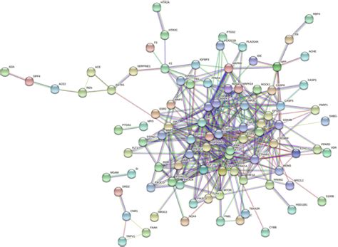 Ppi Network Of Target And Disease Related Genes Constructed Using Download Scientific Diagram