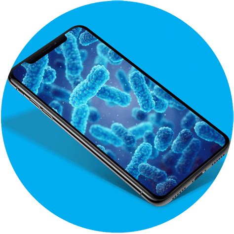 Hospital Grade Mobile Device Sanitizer Cleanslate Uv