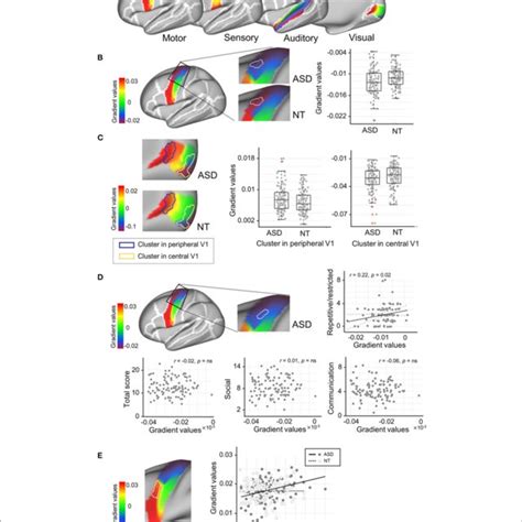 Connectopic Mapping Analysis A The Functional Gradient Maps Of