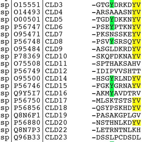 Sequence Alignment Of The 10 Most C Terminal Residues In Human Download Scientific Diagram