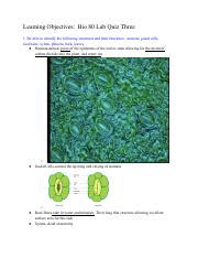 Lab 3 Quiz Bio 80 Pdf Learning Objectives Bio 80 Lab Quiz Three 1 Be Able To Identify The