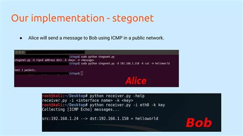 Icmp Chat Data Hiding Ppt
