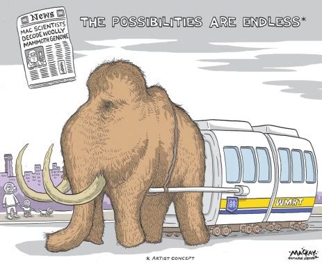 Hamilton Lrt Cartoon Gallery • Mackaycartoons