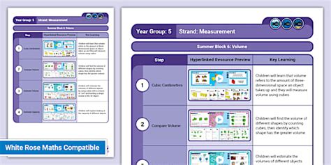 👉 Year 5 Volume Lesson Planning Overview Teacher Made