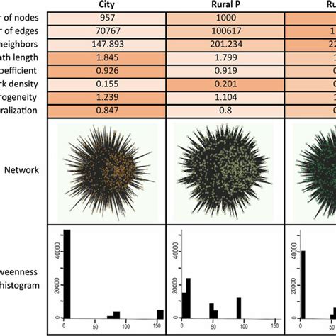 Complementary Network Measurements Metrics Download Scientific Diagram