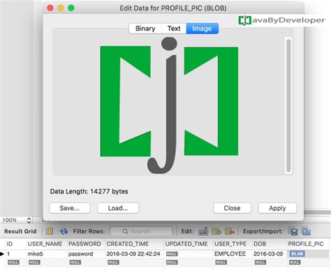 Lob Large Objects In Database Databases Will Provide Data Types To