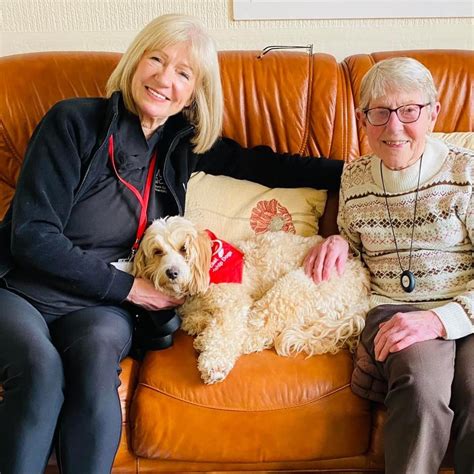 Volunteer Profile Jan Rayner Visits With Teddy The Toodle Wag