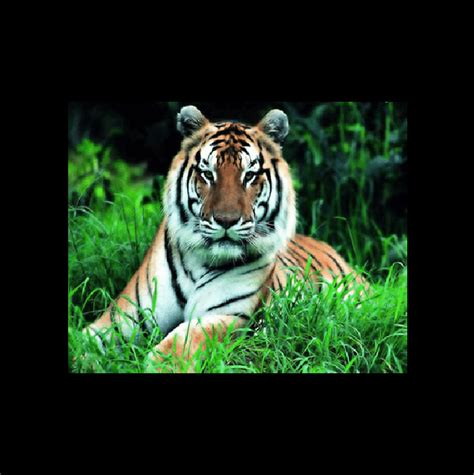 An Example Of Symmetric Mapping A Original Image X B D Three