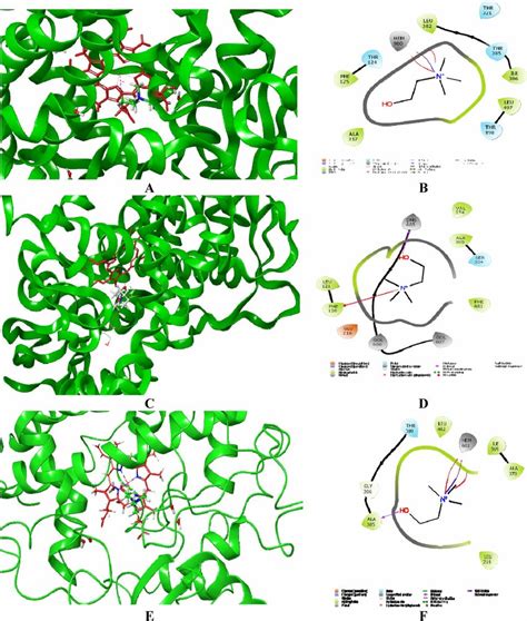 Visualized Major Intermolecular Interactions Of Choline In The Active Download Scientific