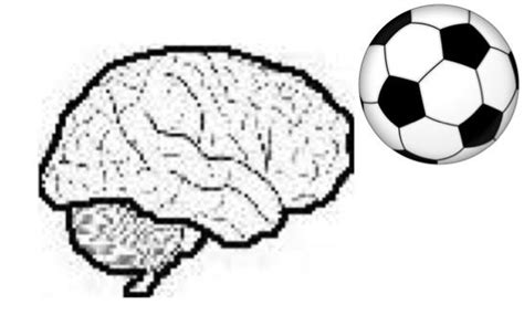 Sex Dopamine And The World Cup Psychology Today