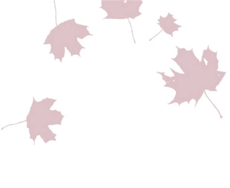 About Us Maple Leaf English School Варна