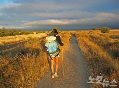 나를 찾는 여행 산티아고 순례길 걷기 노컷뉴스