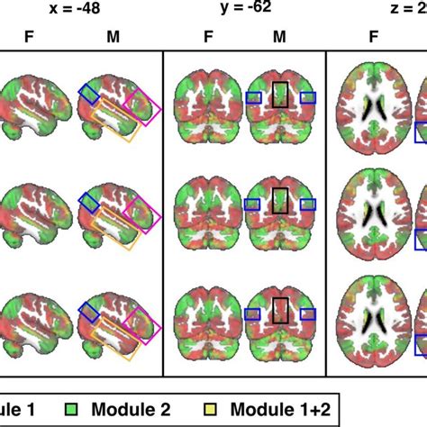 Sex Differences Across Three Age Groups Visualized At Pace Level 1
