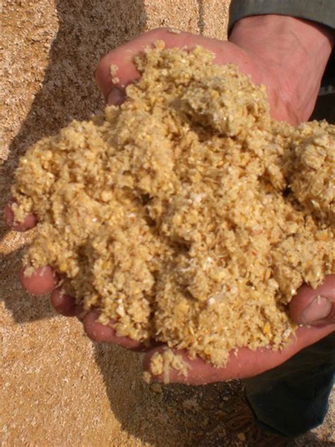 Wet Corn Gluten Feed Mefsco