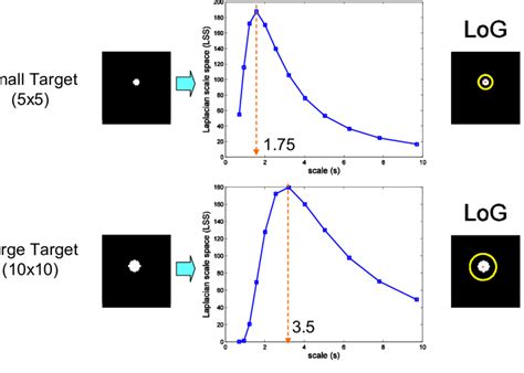 Examples Of Laplacian Scale Space At The Target Centers And