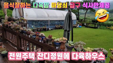 전원주택 잔디마당 다육하우스 다육맘들의 로망 다육맘들 심쿵하게 만드는 전원주택 다육하우스 묵둥이 다육이 창 국민이 전원