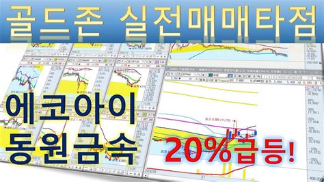 골드존급등 에코아이 티와이홀딩스 동원금속 오리엔탈정공 Youtube