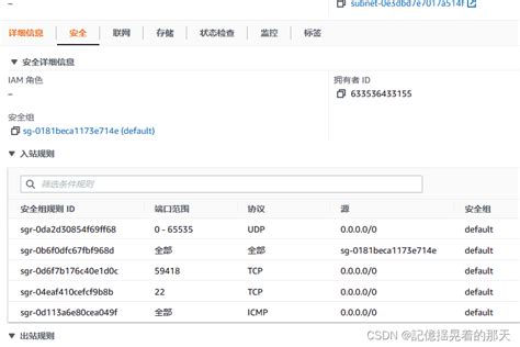 开发者在国内如何白嫖aws服务器一年时间，怎样通过ssh工具连接aws？免费的服务器有什么样的限制？ aws免费一年限制 csdn博客