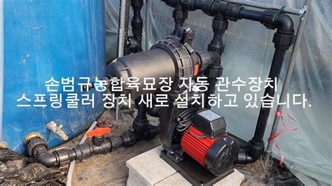 240128일 자동관수스프링쿨러설치 추가투자 인력부족 시간절약 고추육묘물주는시간조절 벼육묘물주는시간조절 딸기육묘시험재배 농자재실험 발아율개선 손범규농합