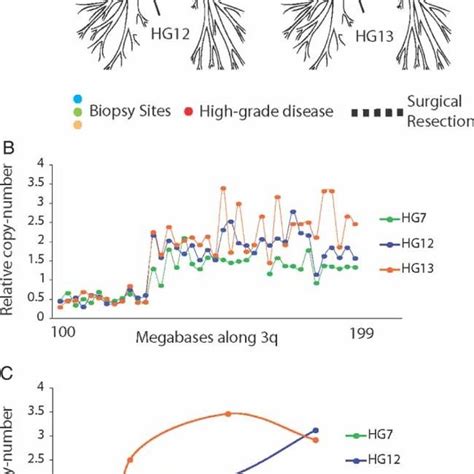 Patient 026—clinical Progression Is Associated With Progressive And
