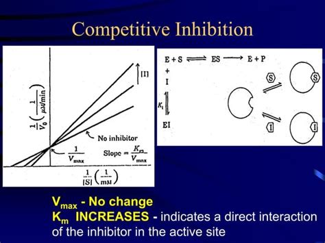 Enzyme Kinetics How It Works Michelis Menten Equation Ppt