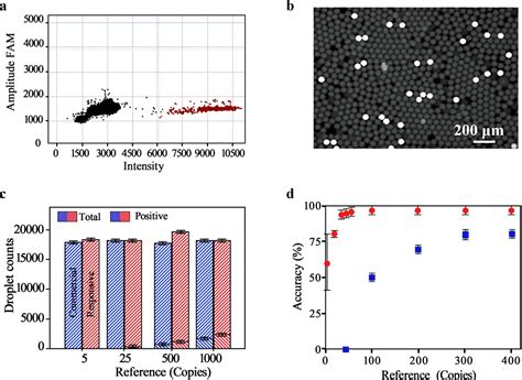 Solvent Responsive Magnetic Beads For Accurate Detection Of Sars Cov 2 Acs Applied Materials